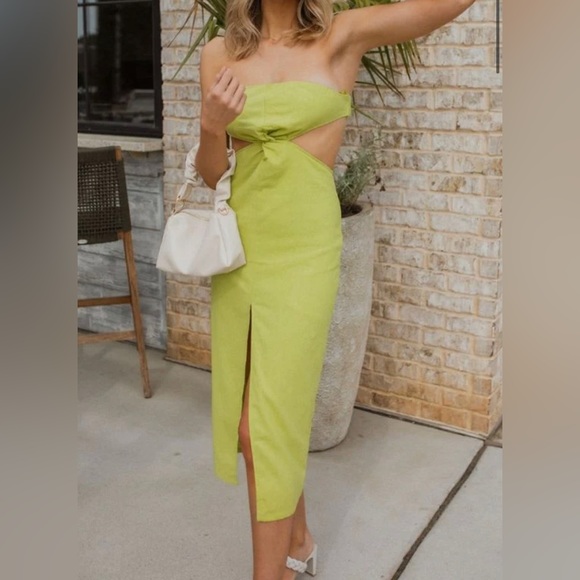 Lizard Thicket | Dresses | Lizard Thicket Dress | Poshmark